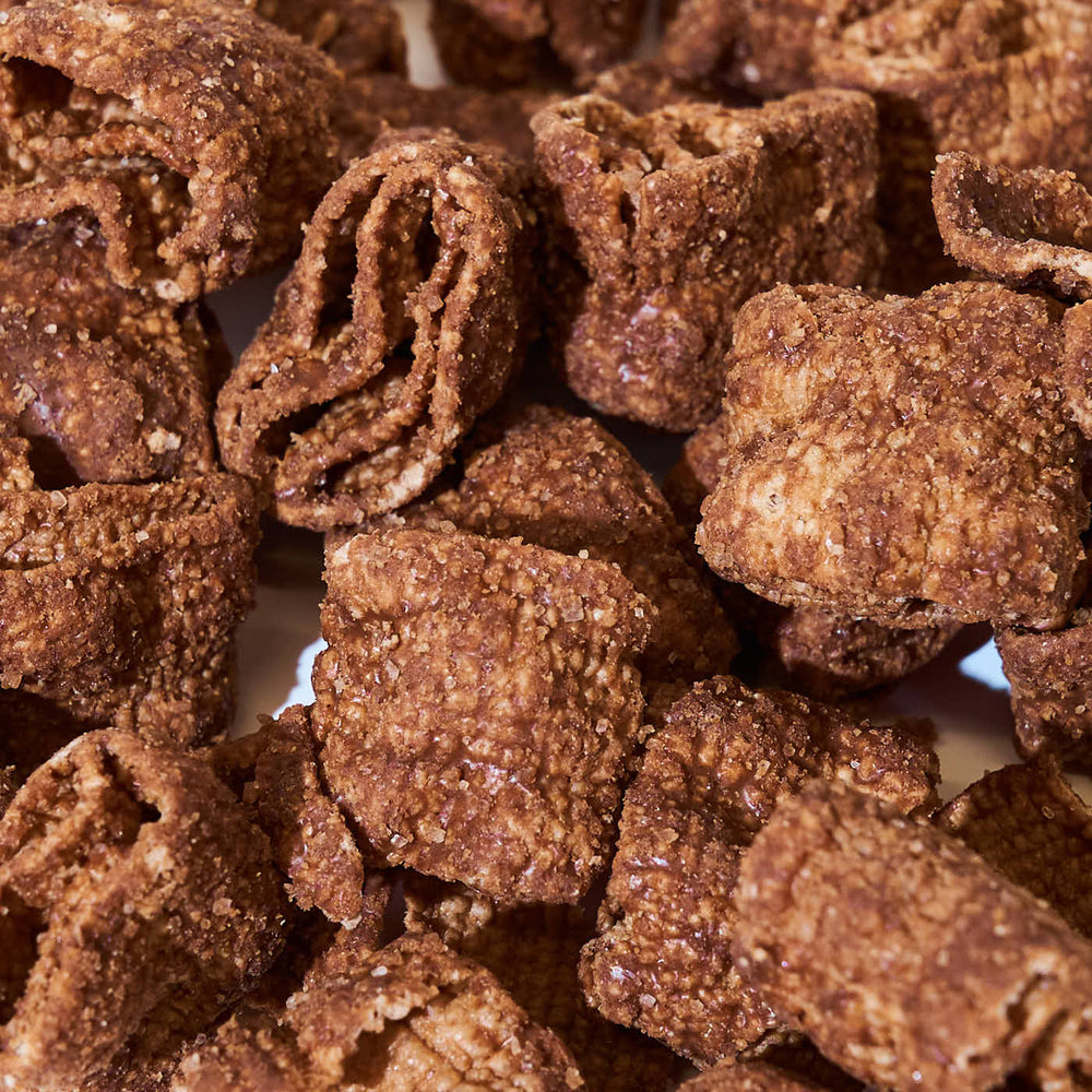 Orion Turtle Layered 4D Chips: Choco Churros